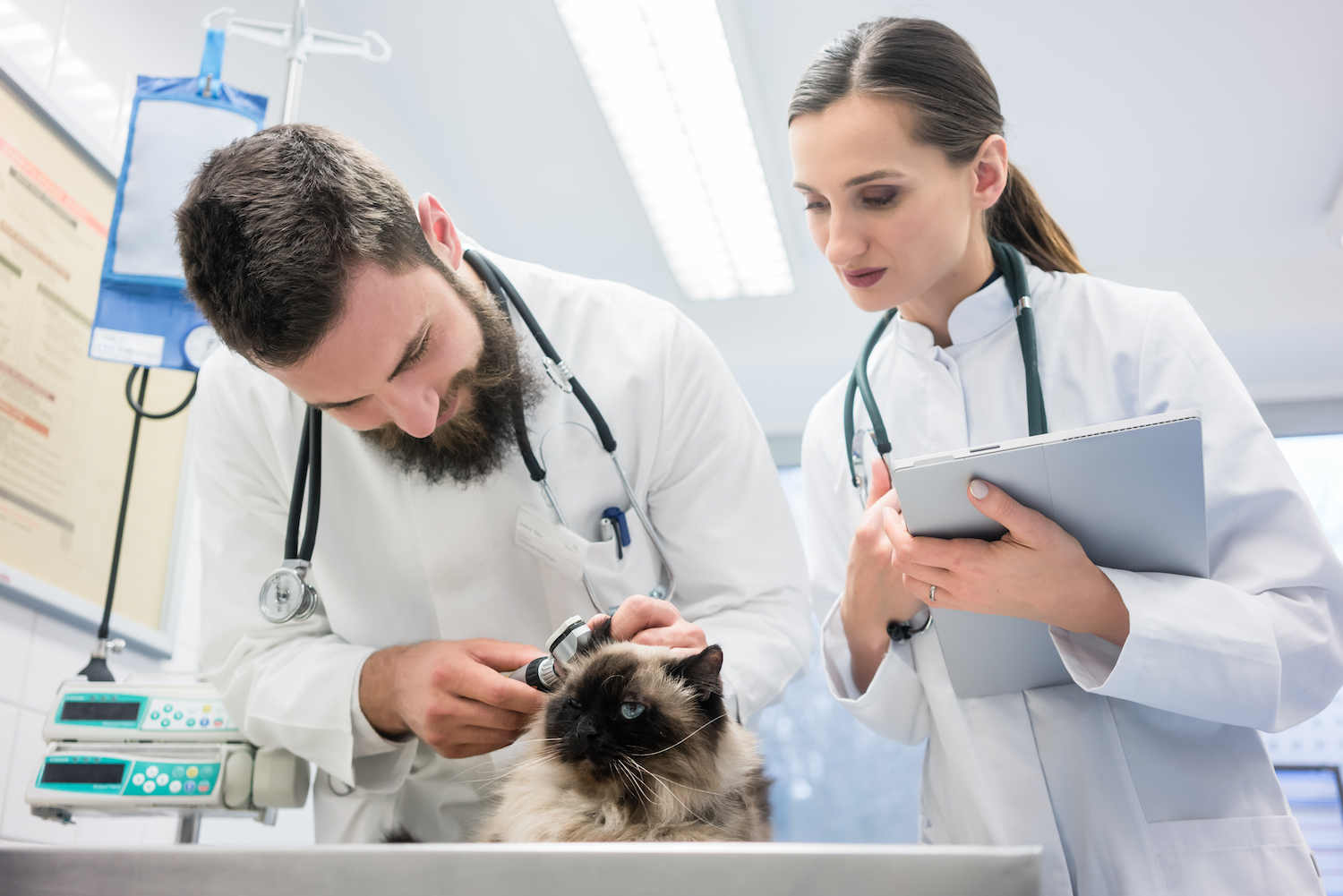 360 Vet Sales - 360 Vet Sales